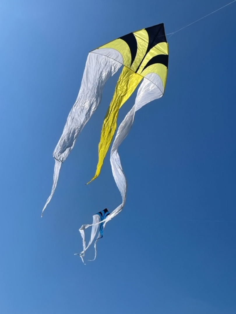 NasserVolant - Boutique de cerfs-volants en ligne et spectacles